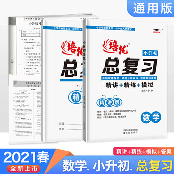 2021新版培优小升初总复习数学精讲+阅读+精练+模拟小学6六年级升初中必备复习宝典复习预习练习