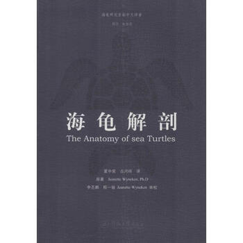 海龟解剖