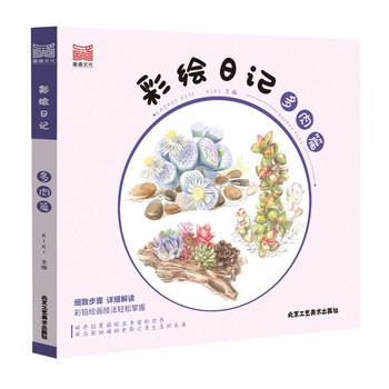 彩绘日记 多肉篇 KIKI  书籍