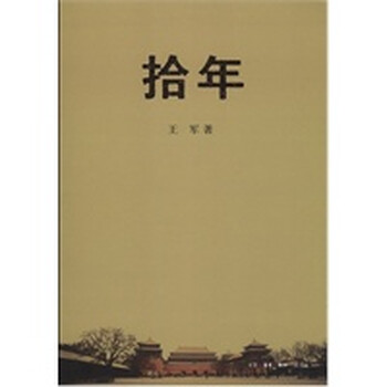 拾年【正版图书，售后无忧】