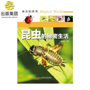 昆虫的秘密生活/神奇的世界