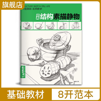 经典全集 素描结构静物组合临摹书籍美术基础技法结构到位绘画册照片风暴高艺联考教学程材大八开范本正版杨