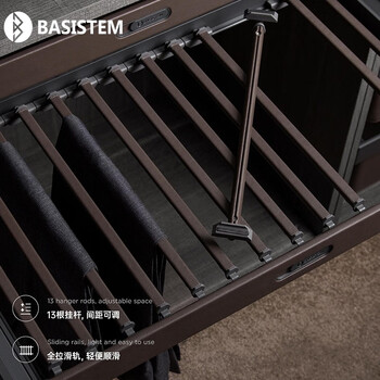 巴斯蒂姆（BASISTEM）瑞士巴斯蒂姆衣柜拉篮挂衣杆收纳抽屉裤架内置衣帽间伸缩置物架 800柜宽(内空764)裤架标配11个【图片 价格 ...