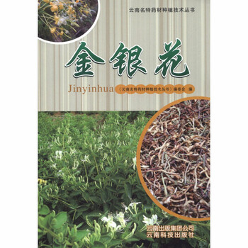 金银花 《云南名特药材种植技术丛书》编委会 编 书籍