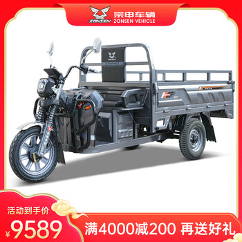 【宗申ZS1500DZH-2】宗申T1逸劲电动三轮车电瓶三轮车拉货王大水电载货代步农用动力强【行情 报价 价格 评测】-京东