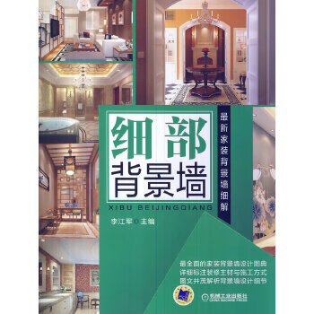 新家装背景墙细解 细部背景墙【正版图书】
