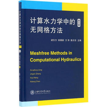 计算水力学中的无网格方法