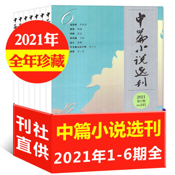 【全年珍藏共6本】中篇小说选刊杂志2021年1/2/3/4/5/6期（1-6/7-12月）打包 双月刊 文学文摘期刊