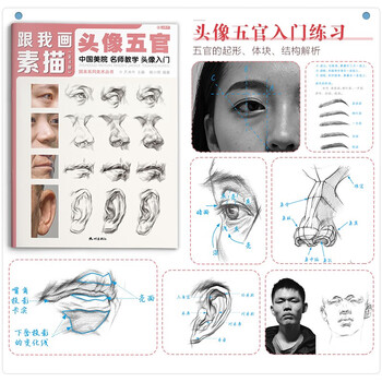 跟我画素描人像头像4册临摹书籍画册人物结构真人画像写生五官肌肉骨骼头骨零基础手绘画画教程入门美术自学赖小明国美高考解剖 跟我画头像五官