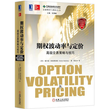 期权破动率与定价高级交易策略与技巧【正版图书，售后无忧】