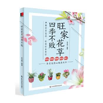 旺家花四季不败 史玉娟