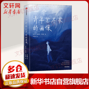 一个青年艺术家的画像 图书