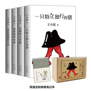 王小波杂文套装