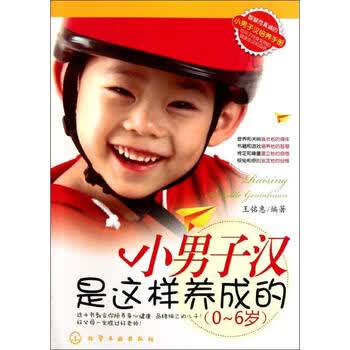 小男子汉是这样养成的(0～6岁) 王铭惠 书籍