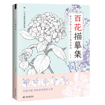 百花描摹集 素描花卉临摹描红画集 100种花卉图解步骤 线描花卉铅笔画 临摹画本 画画自学零基础 速