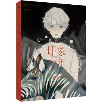 印象少年(精)
