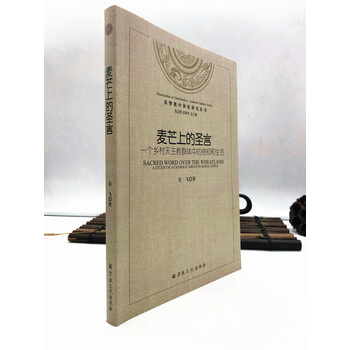 包邮正版 麦芒上的圣言  一个乡村天主教群体中的信仰和生活 吴飞 著 宗教文化出版社
