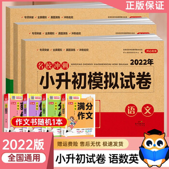 【共3本】202新版名校冲刺小升初模拟试卷语文数学英语全套模拟测试卷小学毕业小升初总复习小升初真题卷