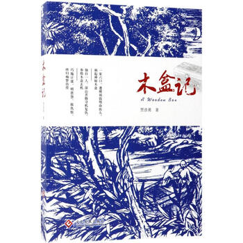 木盒记 贾彦勇  书籍