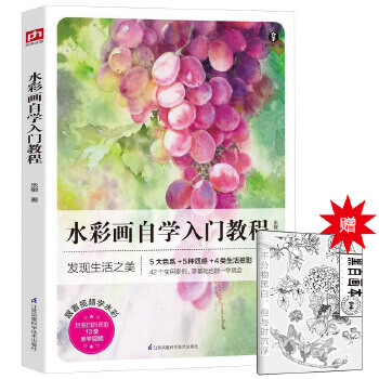 水彩画自学入门教程 乐敏凤凰含章出品