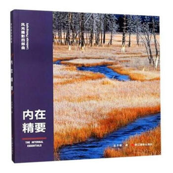 RT内在精要庄开歌浙江摄影出版社9787551419154 风光摄影摄影艺术