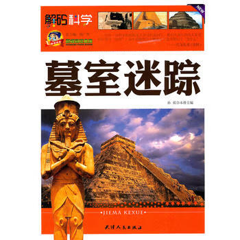 阅读文库-墓室迷踪 杨广军 9787201069944 天津人民出版社