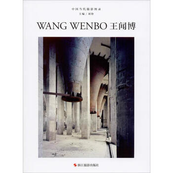 中国当代摄影图录 王闻博 刘铮 编 书籍