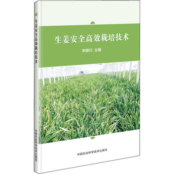 生姜安全高效栽培技术 宋银行 编 书籍