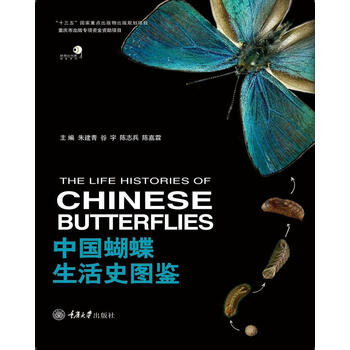中国蝴蝶生活史图鉴朱建青重庆大学出版社9787568911917 科普读物书籍