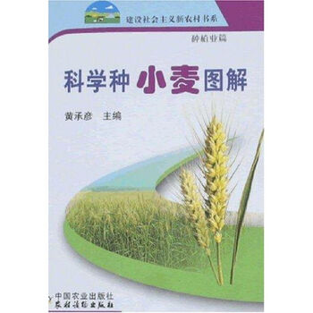 科学种小麦图解/新农村