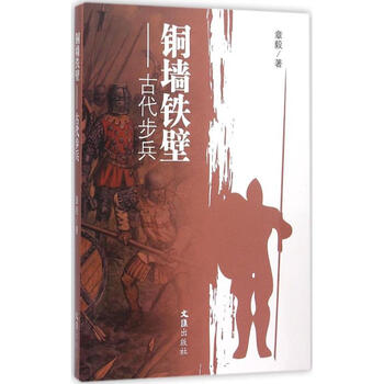 铜墙铁壁 章毅  书籍