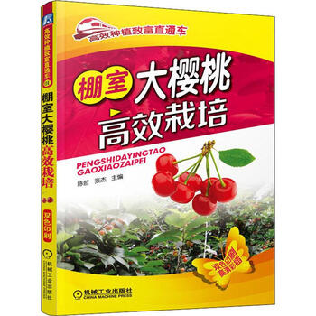 棚室大樱桃高效栽培