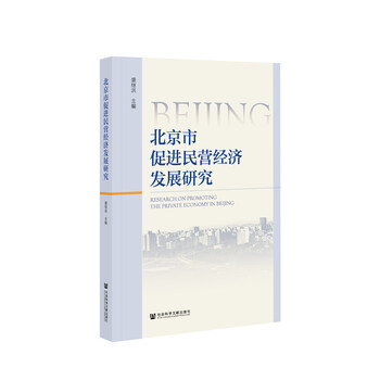 北京市促进民营经济发展研究