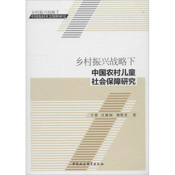 乡村振兴战略下中国农村儿童社会保障研究