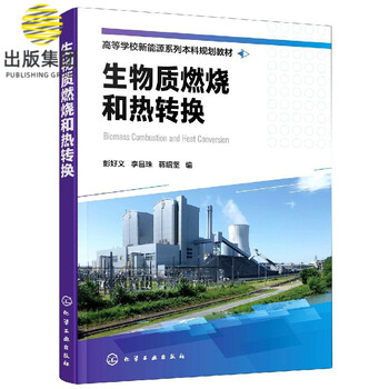 生物质燃烧和热转换(高等学校新能源系列本科规划教材)