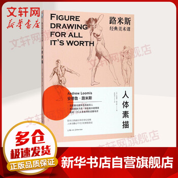 路米斯经典美术课人体素描