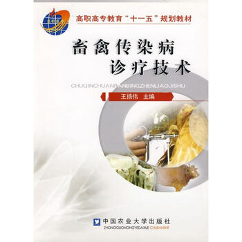 畜禽传染病诊疗技术 王扬伟  书籍