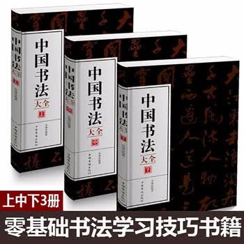 中国书法大全（上中下3册）初学者学习练习毛笔书法基础教程教学书籍字体练字书法教材国学经典历代名家