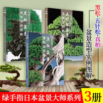 绿手指日本盆景大师系列3册黑松\/五针松\/真柏盆景造型实例图解盆景创作艺术书籍技法图解盆景养护知识