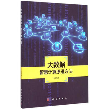 大数据智慧计算原理方法