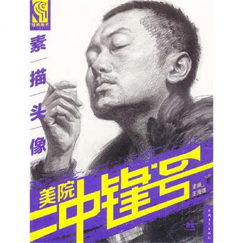 素描头像 王海强 9787500696049 中国青年出版社
