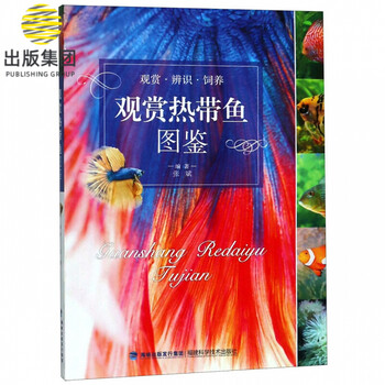 观赏热带鱼图鉴
