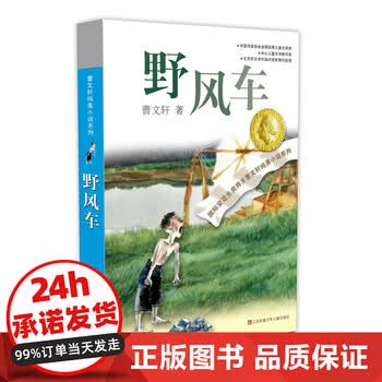 【正版包邮】青铜葵花 曹文轩纯美小说儿童文学系列 学校推荐三四五六年级6-12岁小学生课外阅读书籍 野风车