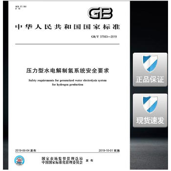 GB/T 37563-2019 压力型水电解制氢系统安全要求