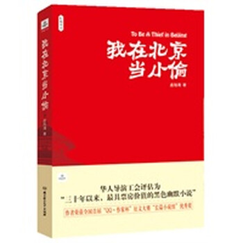 我在北京当小偷