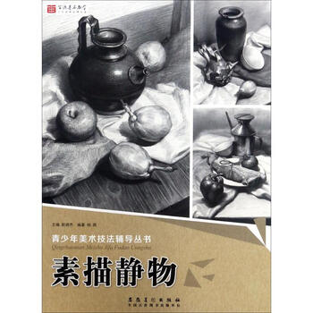 素描静物 杨爽 编；赵锦杰 丛书主编 书籍