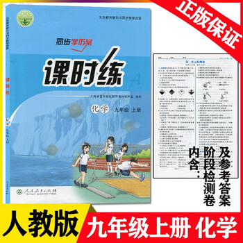 2021人教版初中初三9九年级上册化学课时练同步学历案全国版