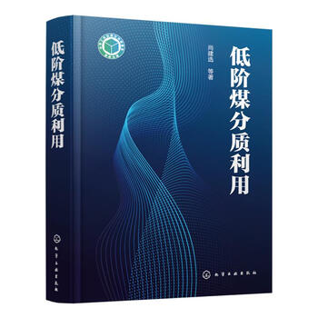 低阶煤分质利用 图书