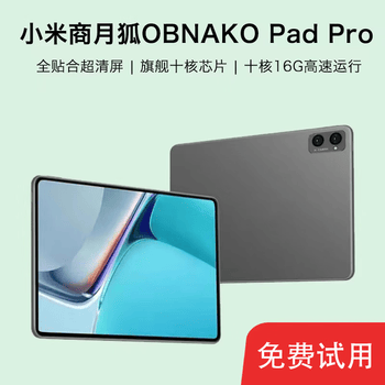 小米商月狐OBNAKO平板电脑2023款4K屏Pad Pro十核5G全网通插卡二合一办公游戏学习 16G运行新Pro性能版璀璨银 128G原装 ...