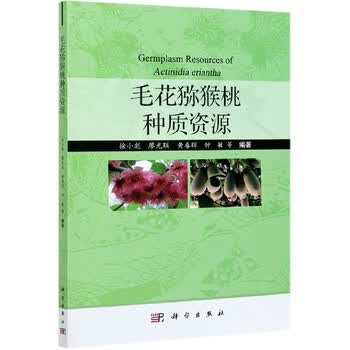 毛花猕猴桃种质资源